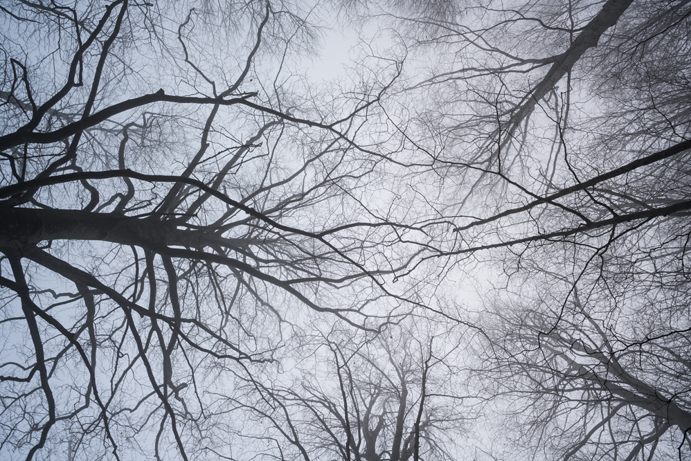 Zero Footprints project with Ted Leeming